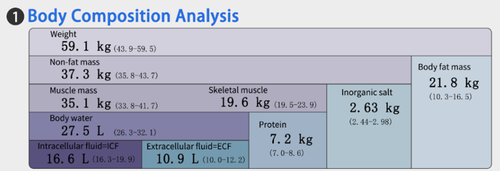 What is body composition